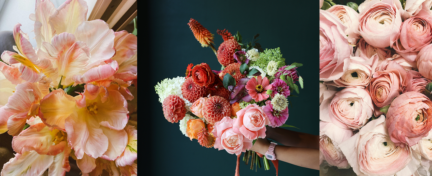 | Newton Flower shop | Boston Florist | Same Day Flower Delivery ...